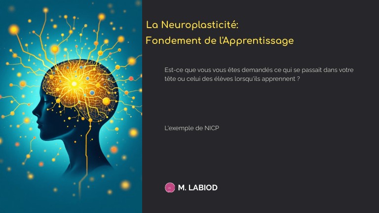 La Neuroplasticité: Fondement de l'Apprentissage | Genially