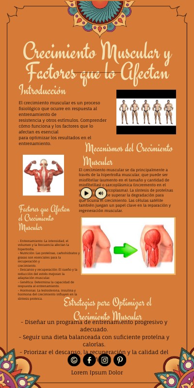 Crecimiento Muscular y Factores que lo Afectan | Genially