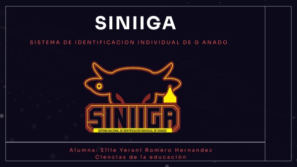 PRESENTACION INFORMATICA SINIIGA | Genially