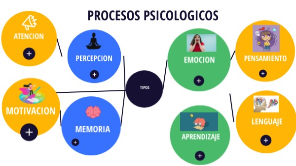 procesos Psicologicos | Genially