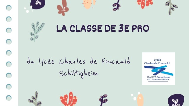 La classe de 3e pro | Genially