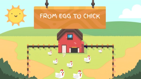 FROM EGG TO CHICK! | Genially