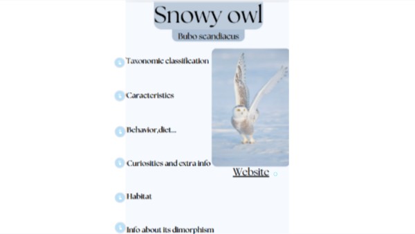 Snowy owl | Genially