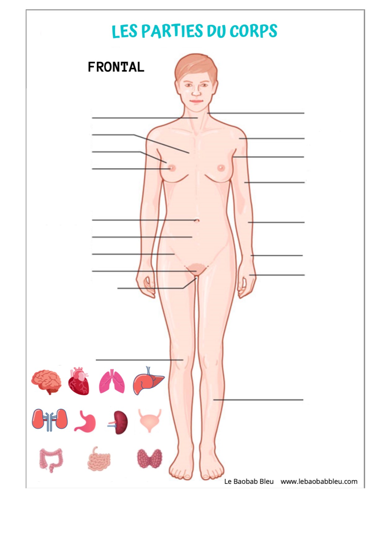 Vocabulaire le corps | Genially