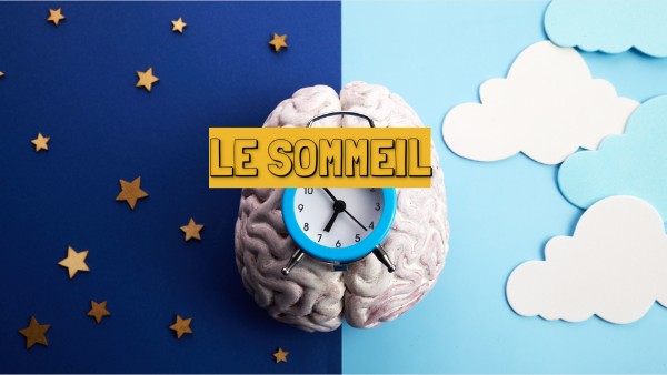 Le sommeil | Genially