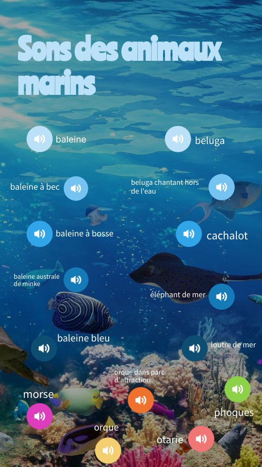 Sons des animaux marins | Genially