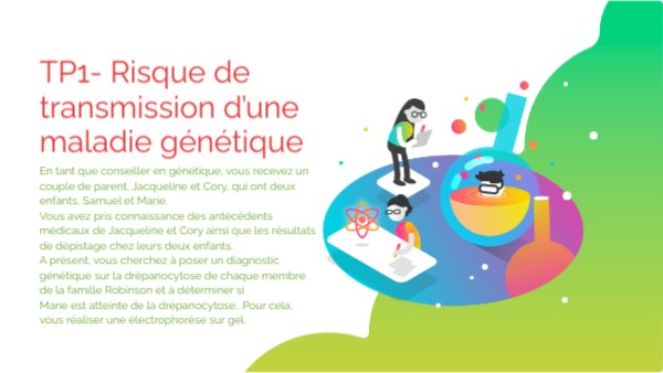 TP1- Risque de transmission d’une maladie génétique | Genially