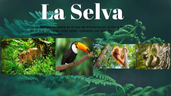 La Selva | Genially