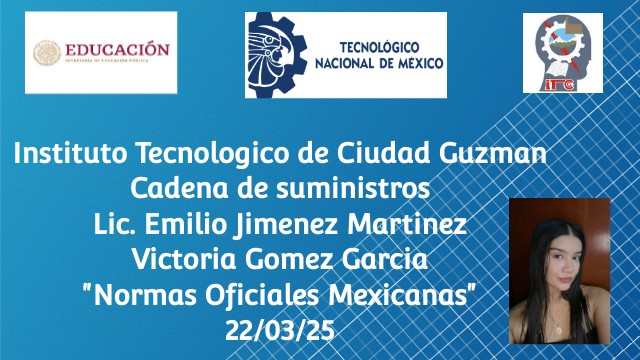 Instituto Tecnologico de Ciudad Guzman Cadena de suministros Lic ...