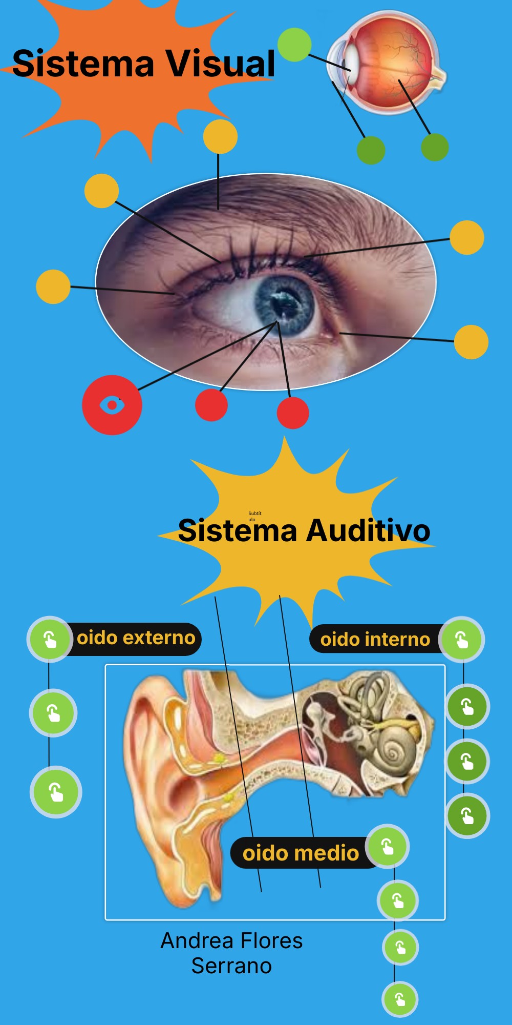 RETO 3. ANATOMIA DEL SISTEMA VISUAL Y AUDTIVO | Genially