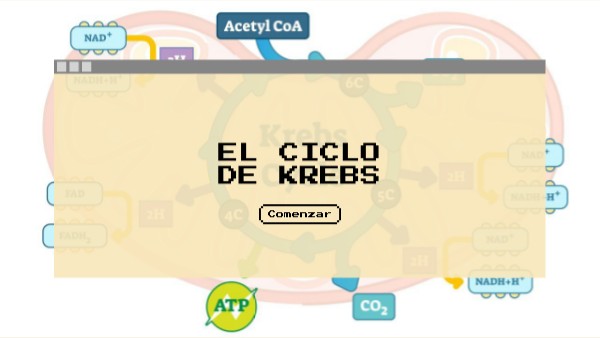 El CICLO DE KREBS | Genially