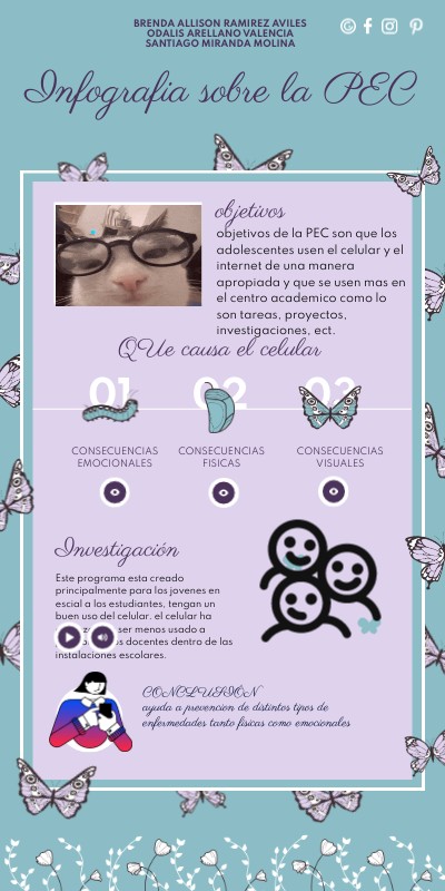 Infografia sobre la PEC | Genially