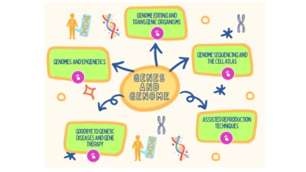 Genetic engineering | Genially
