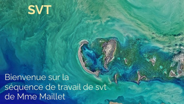 v2025 - Thème II-3ème | Genially