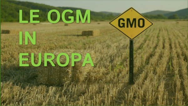 geografia le OGM | Genially