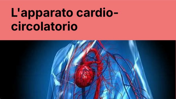 L'apparato cardio-circolatorio | Genially