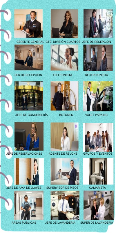 GERENTE GENERAL GTE. DIVISIÓN CUARTOS JEFE DE RECEPCIÓN | Genially