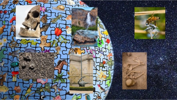 La vida en la Tierra | Genially