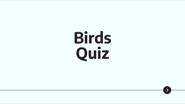 Birds Quiz | Genially