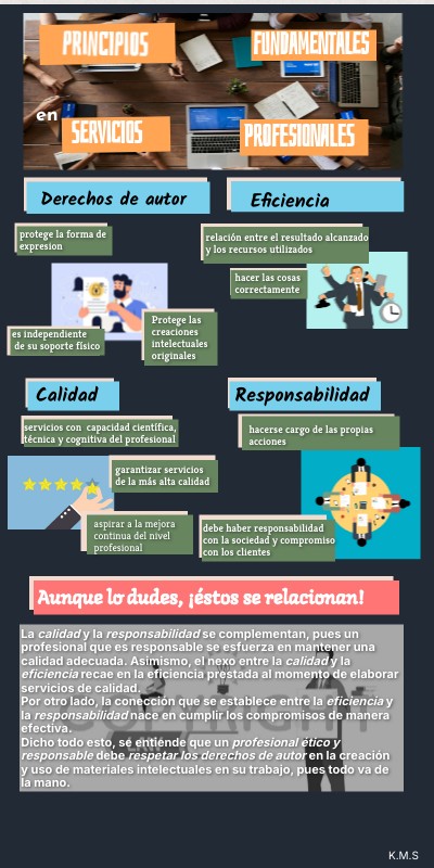 principios en servicios profesionales | Genially