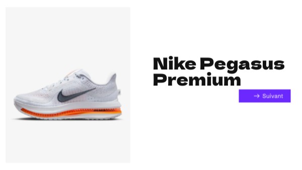 Nike Pegasus Premium | Genially