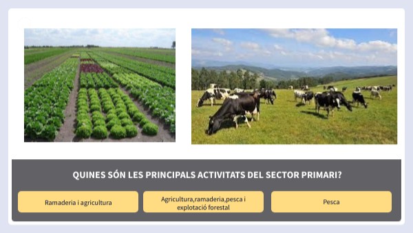 SECTOR PRIMARI | Genially