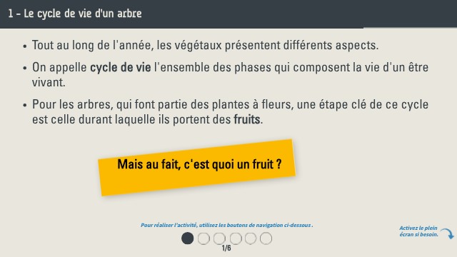 MES C3 Arbre matière et énergie | Genially