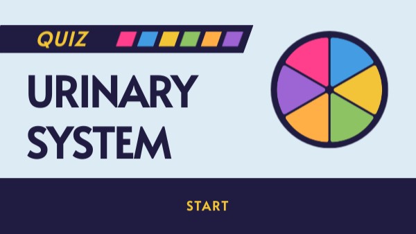 URINARY SYSTEM | Genially