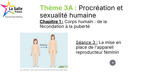 Thème 3A : Procréation et sexualité humaine | Genially