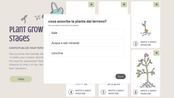 Fasi di crescita delle piante | Genially