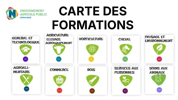 CARTE DES FORMATIONS | Genially