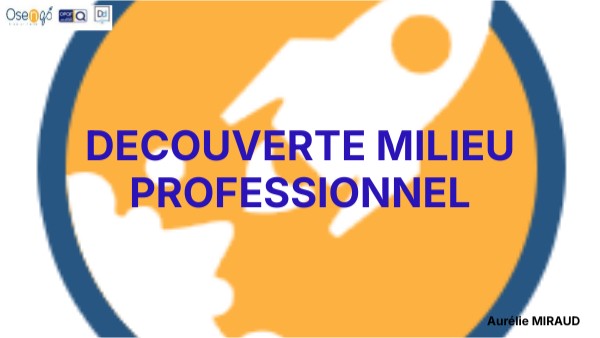 DECOUVERTE MILIEU PROFESSIONNEL | Genially