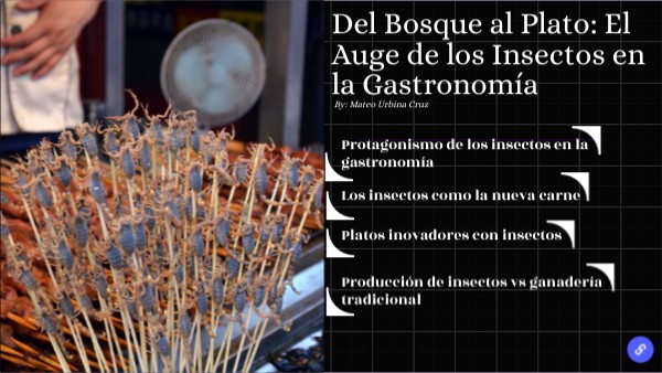 Del Bosque al Plato: El Auge de los Insectos en la Gastronomía | Genially