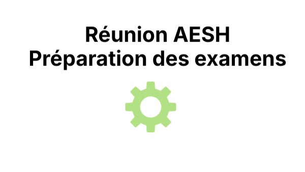 Réunion AESH Préparation des examens | Genially