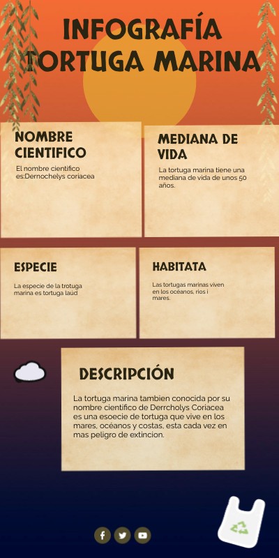 InFOGRAFÍA Tortuga Marina | Genially