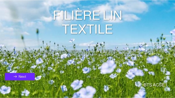 Filière lin textile | Genially