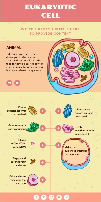 Cell Vertical Infographic | Genially