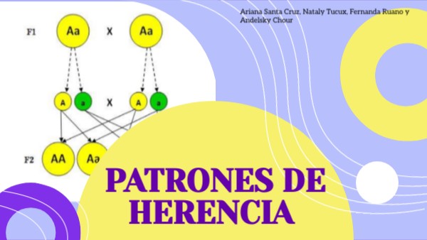 PATRONES DE HERENCIA | Genially