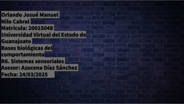 sistemas sensoriales_orlando nilo | Genially