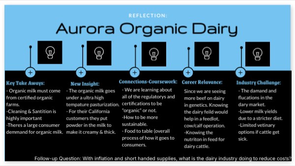 Aurora Organic Dairy | Genially
