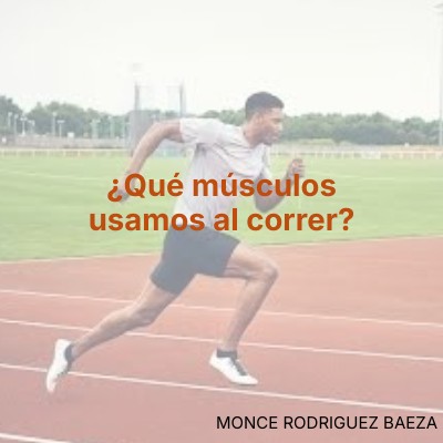 ¿Qué músculos usamos al correr? | Genially