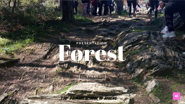 Forest | Genially