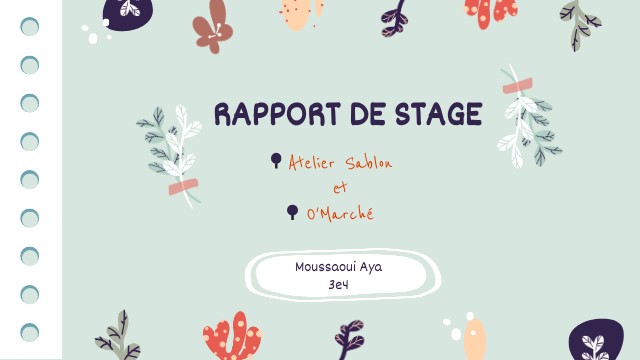 Rapport du stage | Genially
