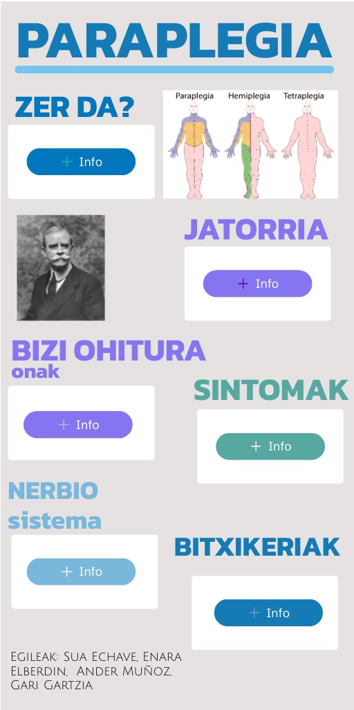 PARAPLEGIA | Genially