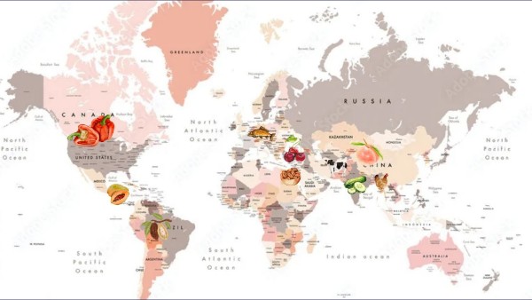 Origin country of… Basic foods! | Genially