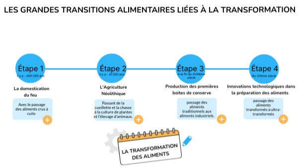 LES GRANDES TRANSITIONS ALIMENTAIRES LIÉES À LA TRANSFORMATION | Genially