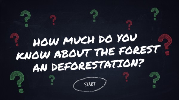 HOW MUCH DO YOU KNOW ABOUT THE FOREST AN DEFORESTATION? | Genially