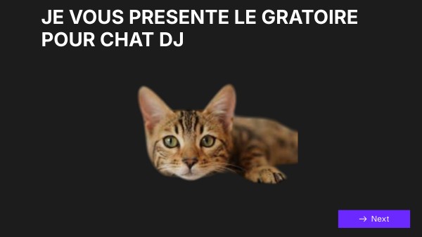 JE VOUS PRESENTE LE GRATOIRE POUR CHAT DJ | Genially