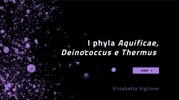 I phyla Aquificae, Deinococcus e Thermus | Genially