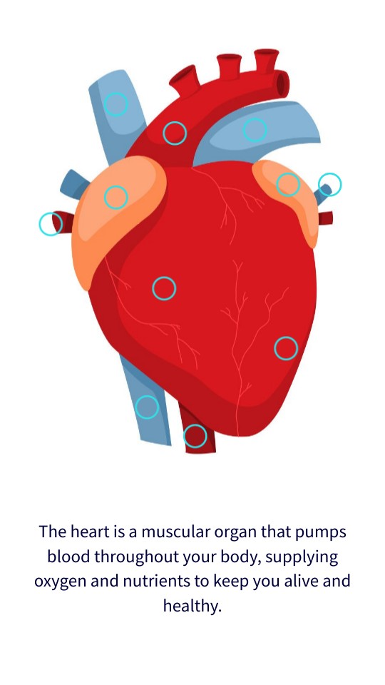 Heart Interactive Image | Genially